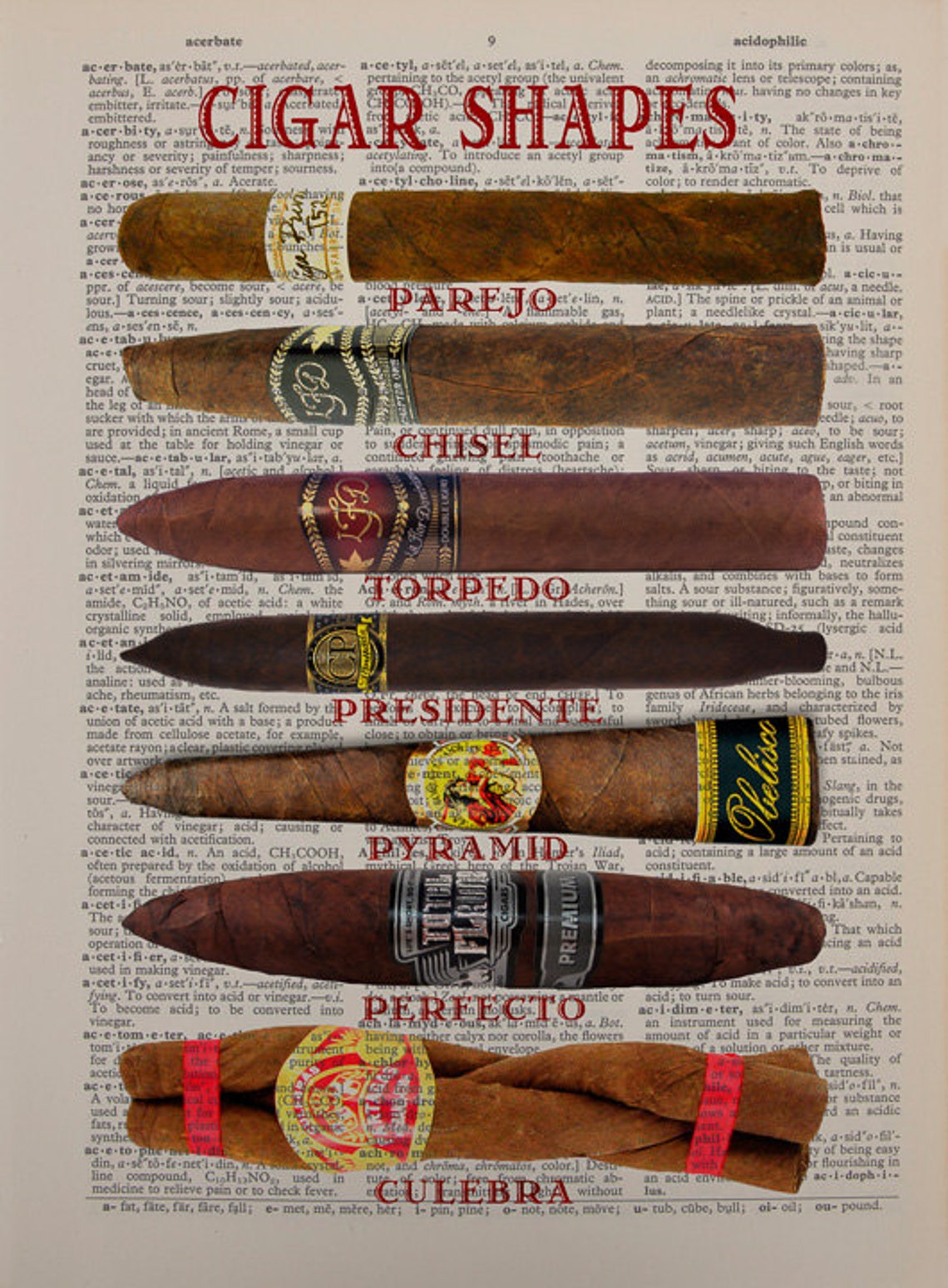 Cigar Shape Chart Dictionary Art Print Smoke Cigar Shape Art - Etsy
