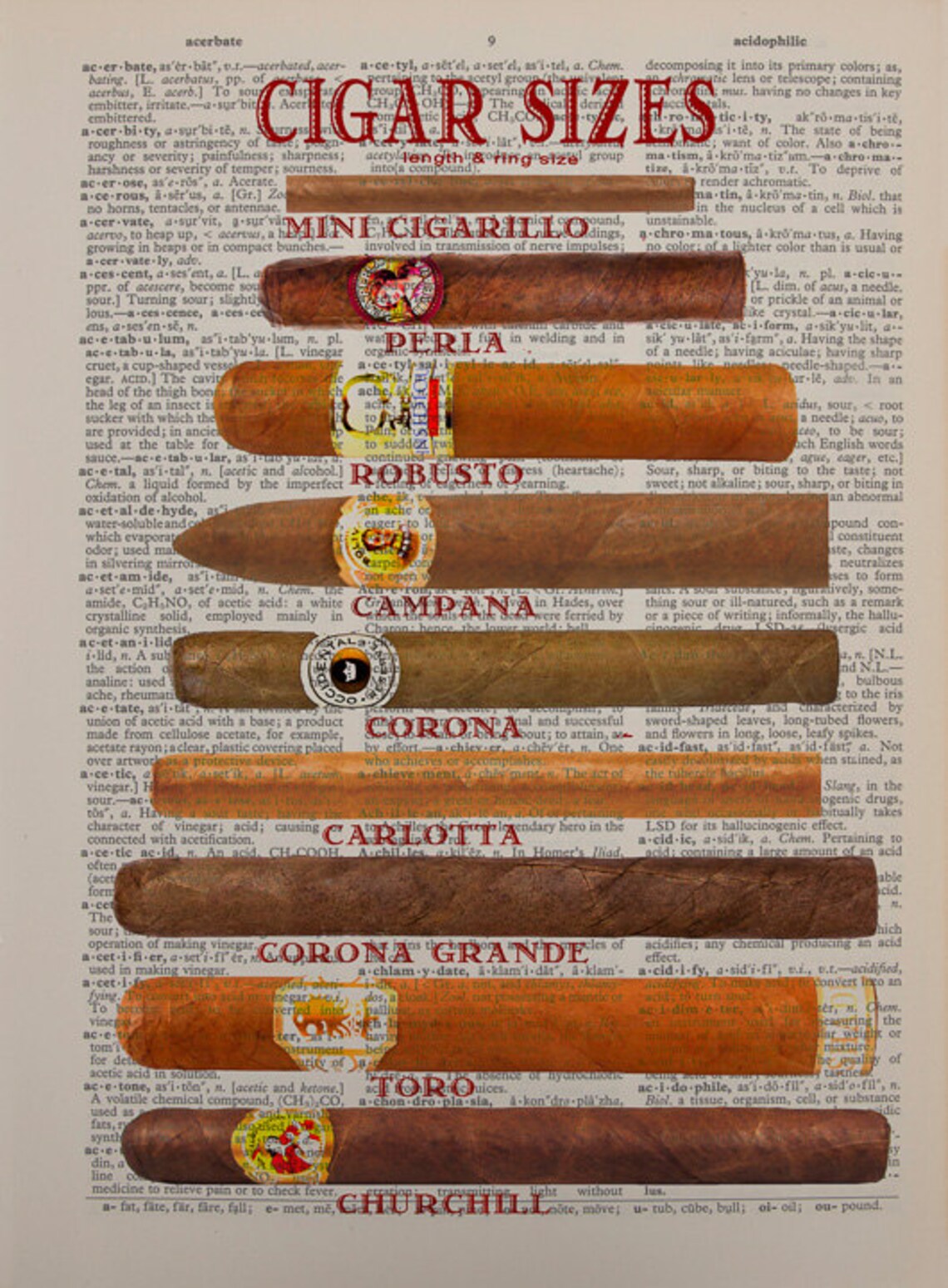 Cigar Sizes Chart Discounted Set Sale Dictionary Art Print Etsy