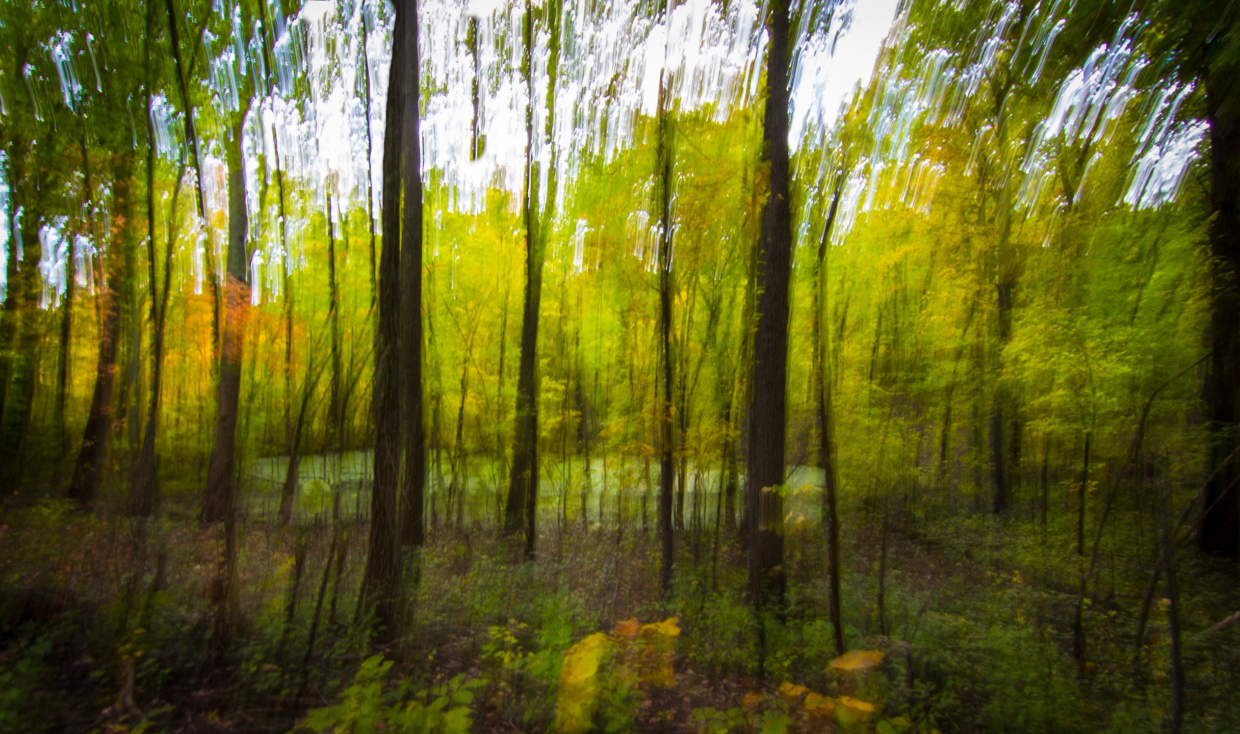 ABSTRACT TREES - Digital Download - Etsy