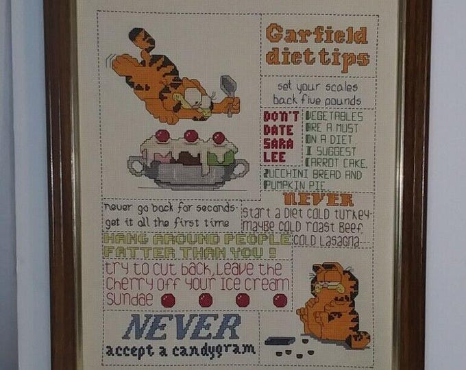 VTG Garfield Diet Tips Cross Stitch Sampler Comic Wall Art Jim Davis 18 ...