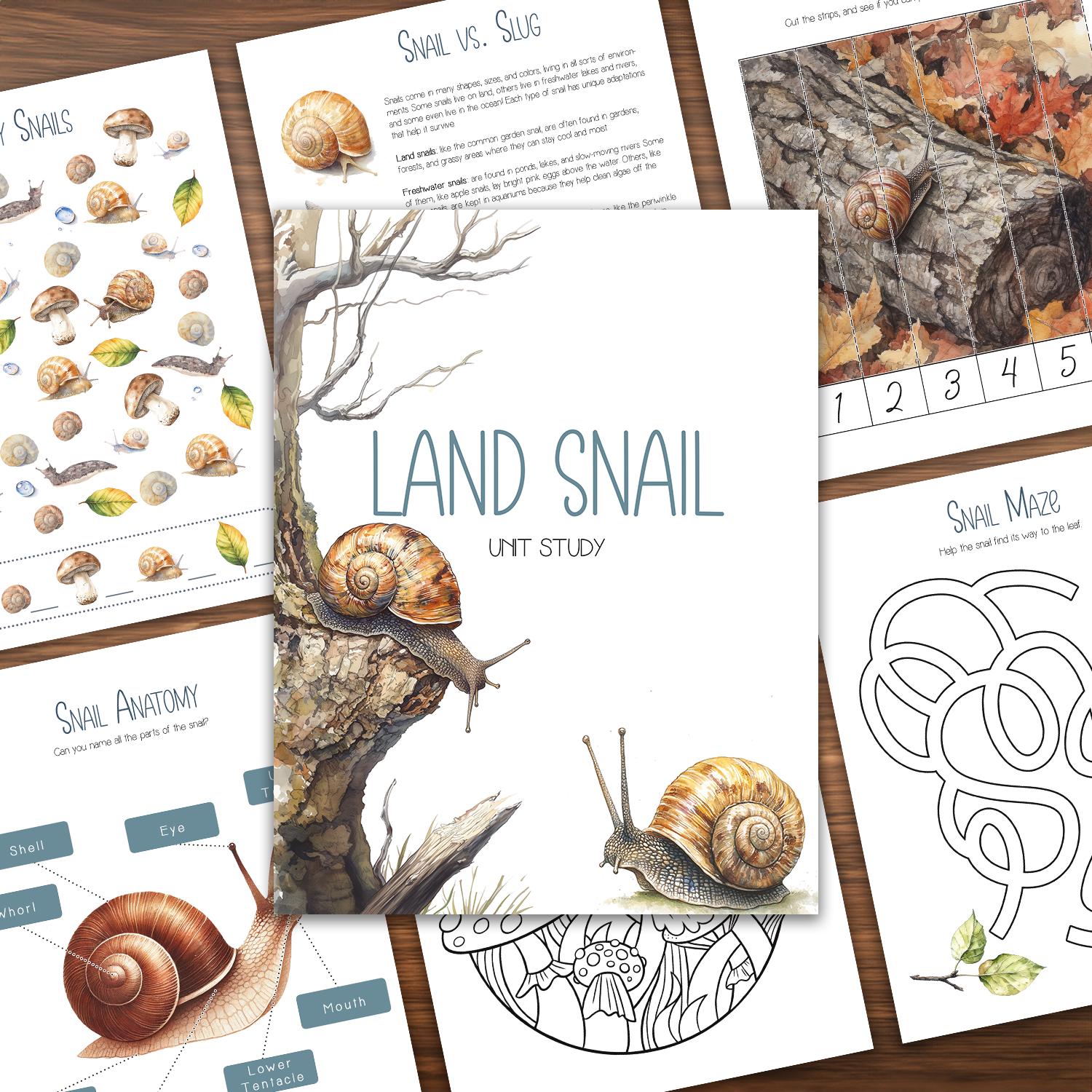 LAND SNAIL Unit Study, Mollusk, Snails & Slugs, Nature, Printable ...