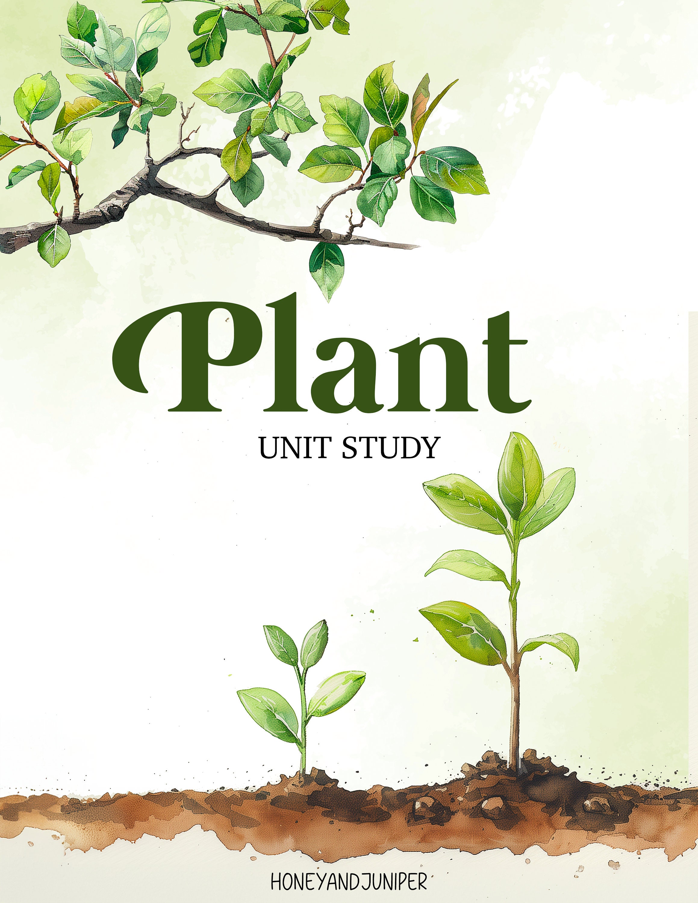 PLANT Unit Study, Life Cycle of a Plant, Plant Anatomy, Printable ...