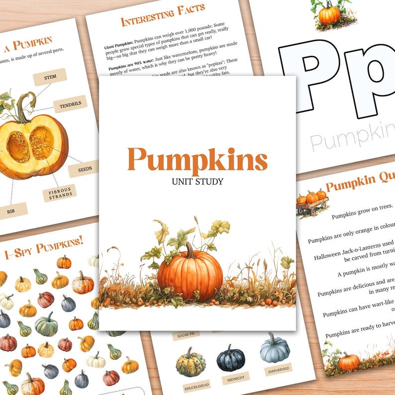 PUMPKIN Unit Study, Fall & Autumn Study, Nature, Printable, Montessori ...