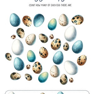 BIRD NESTS Unit Study, Life Cycle of a Bird, Nature, Printable ...
