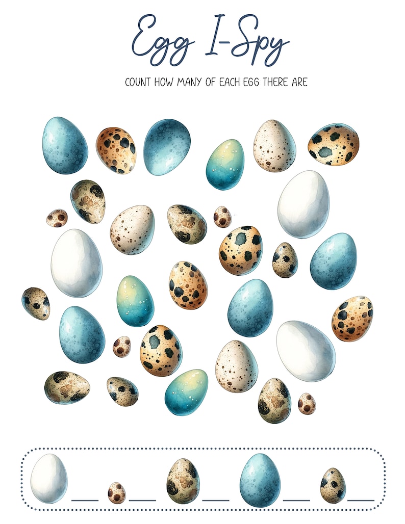 BIRD NESTS Unit Study, Life Cycle of a Bird, Nature, Printable ...