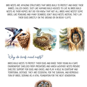 BIRD NESTS Unit Study, Life Cycle of a Bird, Nature, Printable ...