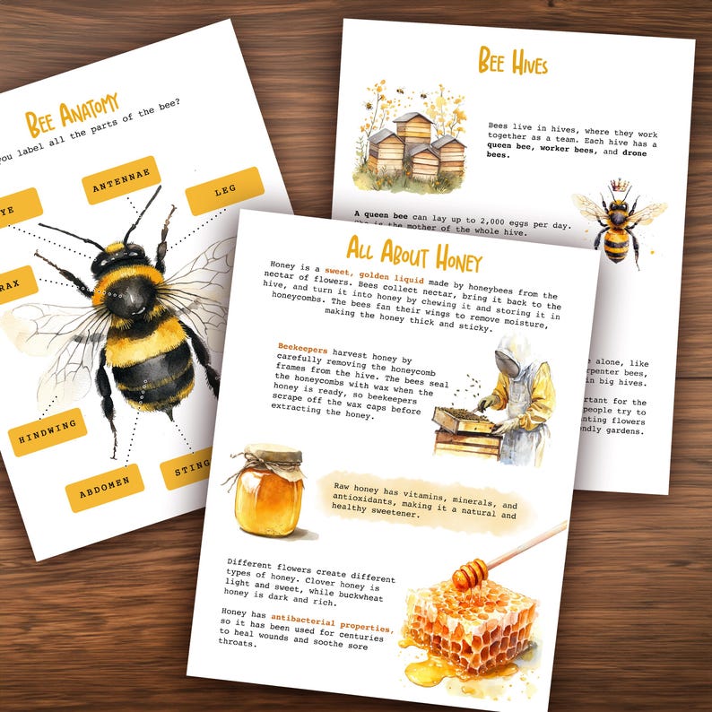 BEES Unit Study, Honey, Beehive, Pollination, Nature, Printable ...