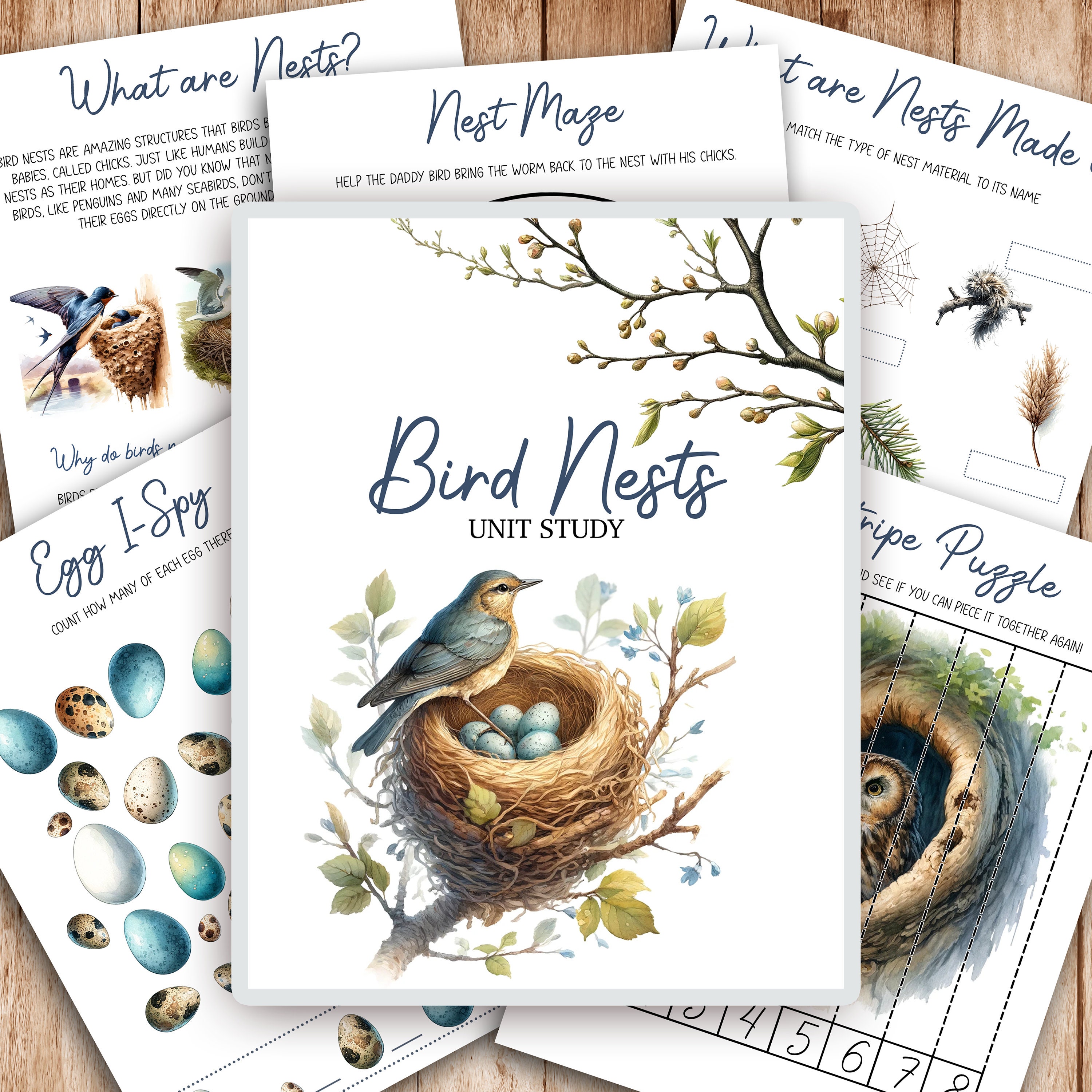 BIRD NESTS Unit Study, Life Cycle of a Bird, Nature, Printable ...