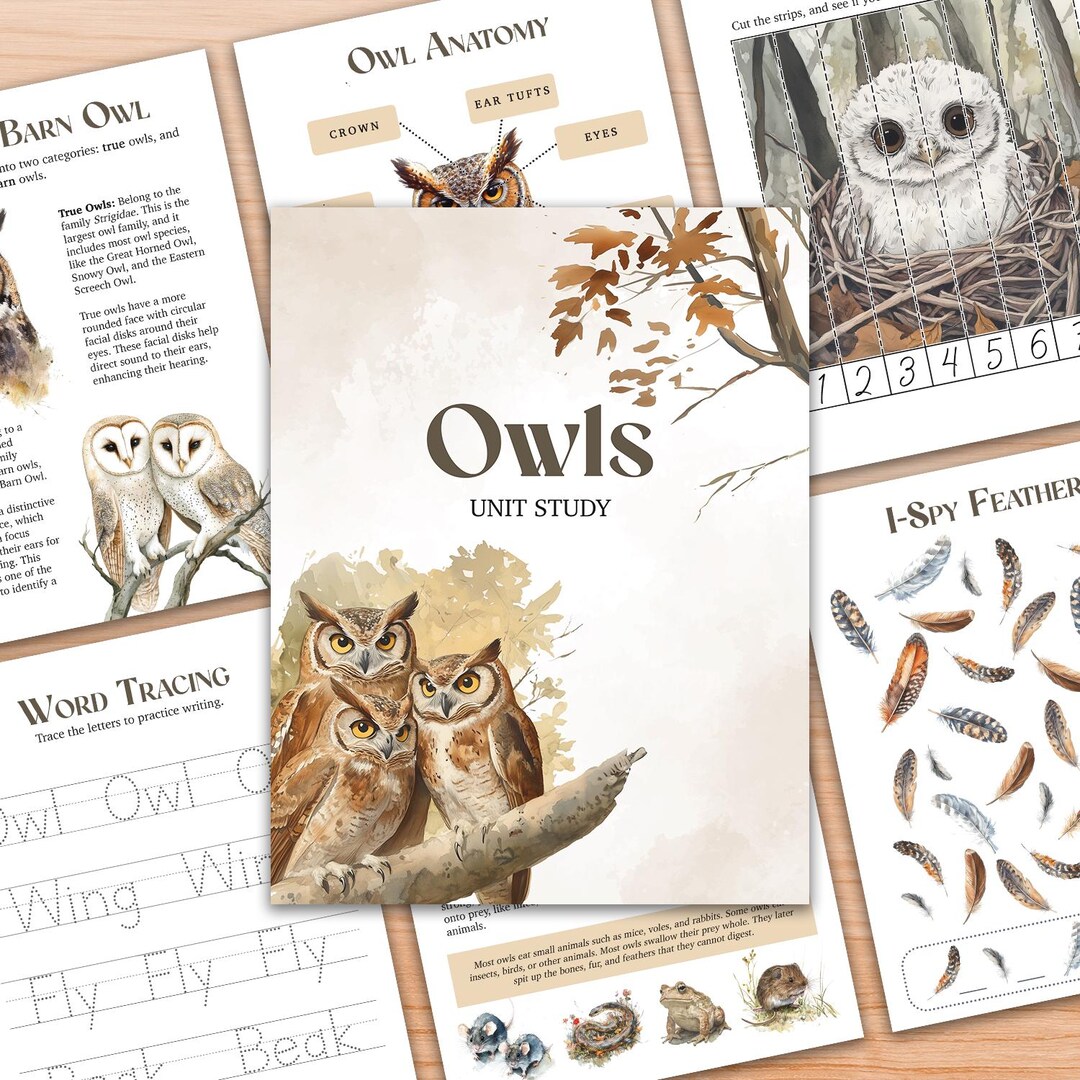 OWL Unit Study, Life Cycle of a Bird, Nature, Printable, Montessori ...