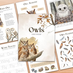OWL Unit Study, Life Cycle of a Bird, Nature, Printable, Montessori ...