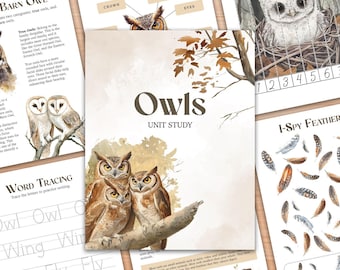 OWL Unit Study, Life Cycle of a Bird, Nature, Printable, Montessori ...