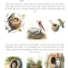 BIRD NESTS Unit Study, Life Cycle of a Bird, Nature, Printable ...
