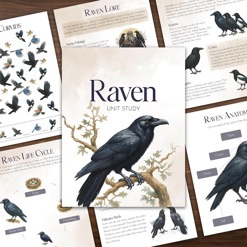 RAVEN Unit Study, Corvids, Life Cycle of a Bird, Nature, Printable ...