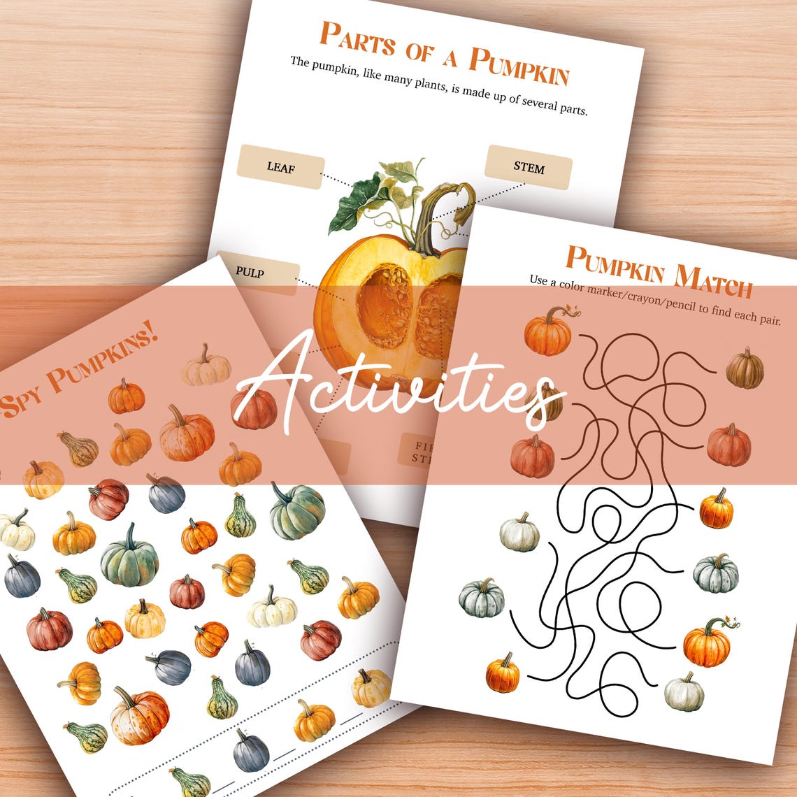PUMPKIN Unit Study, Fall & Autumn Study, Nature, Printable, Montessori ...