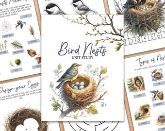 OWL Unit Study, Life Cycle of a Bird, Nature, Printable, Montessori ...