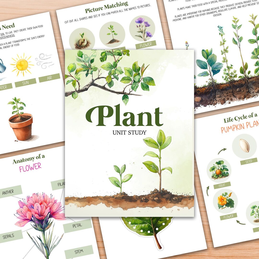 PLANT Unit Study, Life Cycle of a Plant, Plant Anatomy, Printable ...