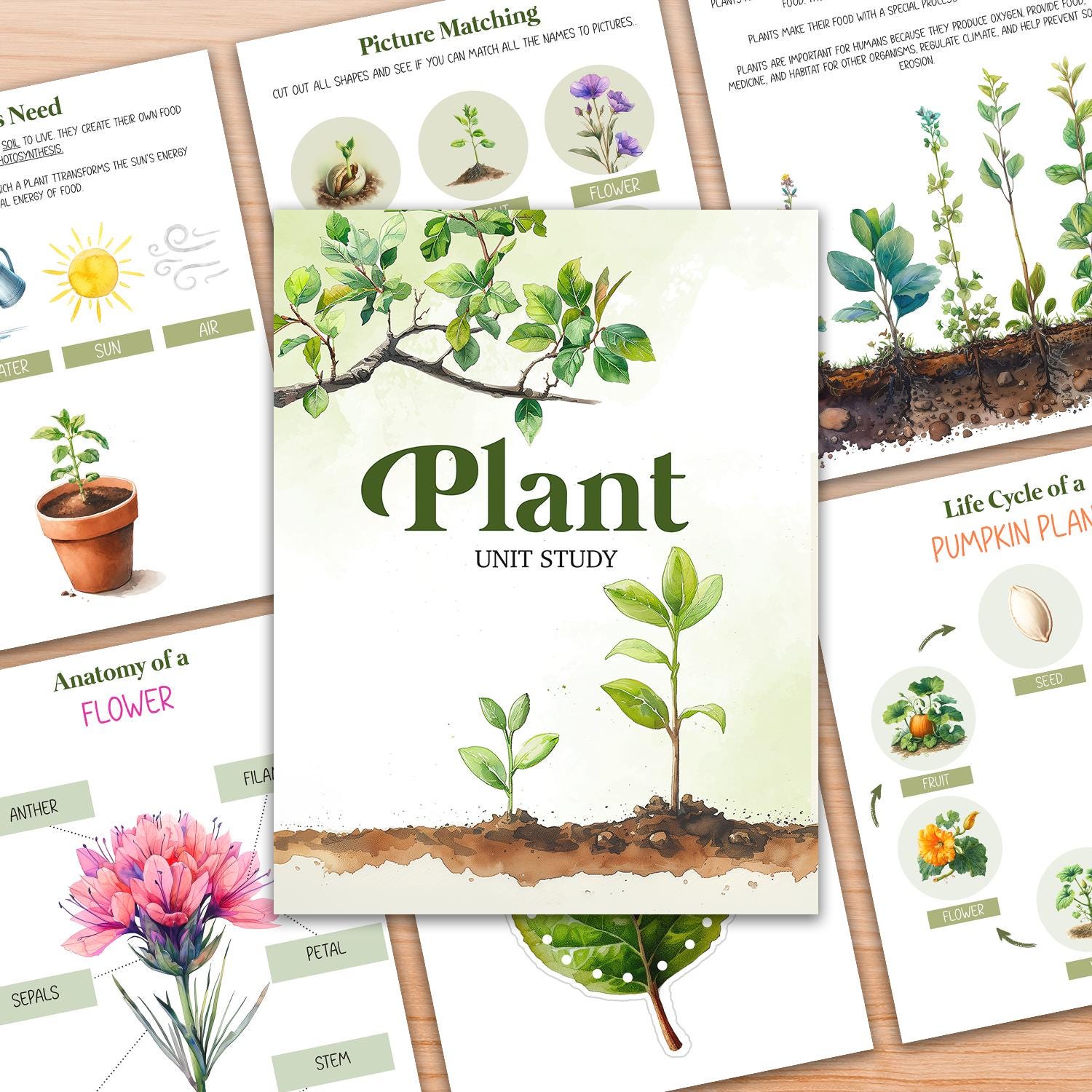 PLANT Unit Study, Life Cycle of a Plant, Plant Anatomy, Printable ...