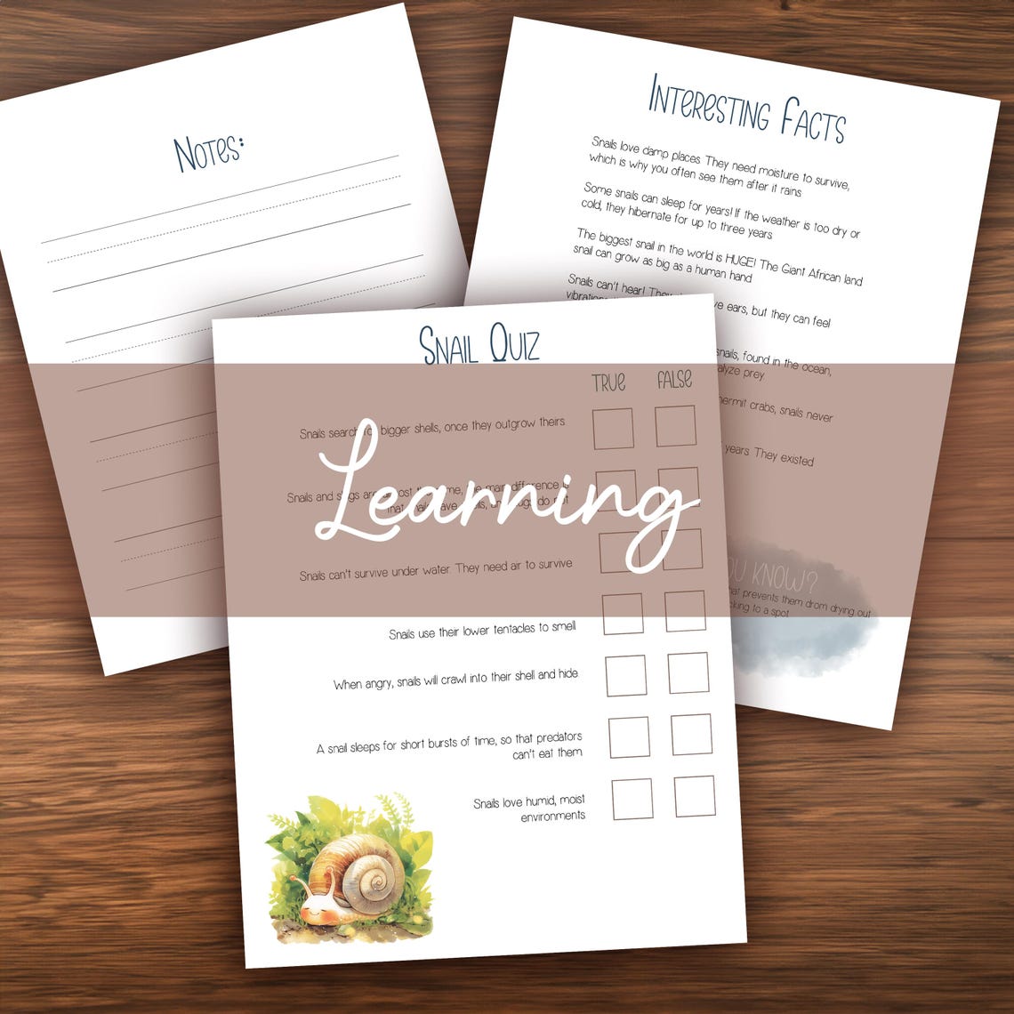 LAND SNAIL Unit Study, Mollusk, Snails & Slugs, Nature, Printable ...