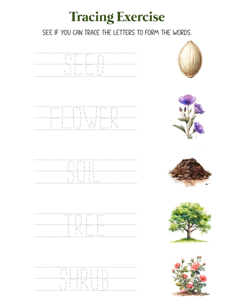 PLANT Unit Study, Life Cycle of a Plant, Plant Anatomy, Printable ...
