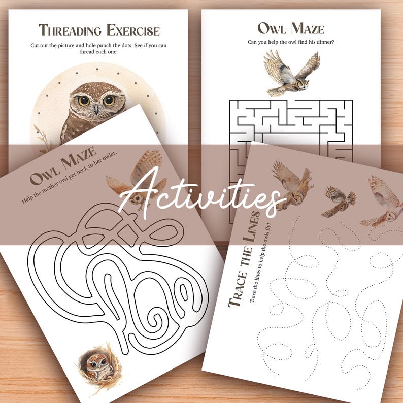 OWL Unit Study, Life Cycle of a Bird, Nature, Printable, Montessori ...