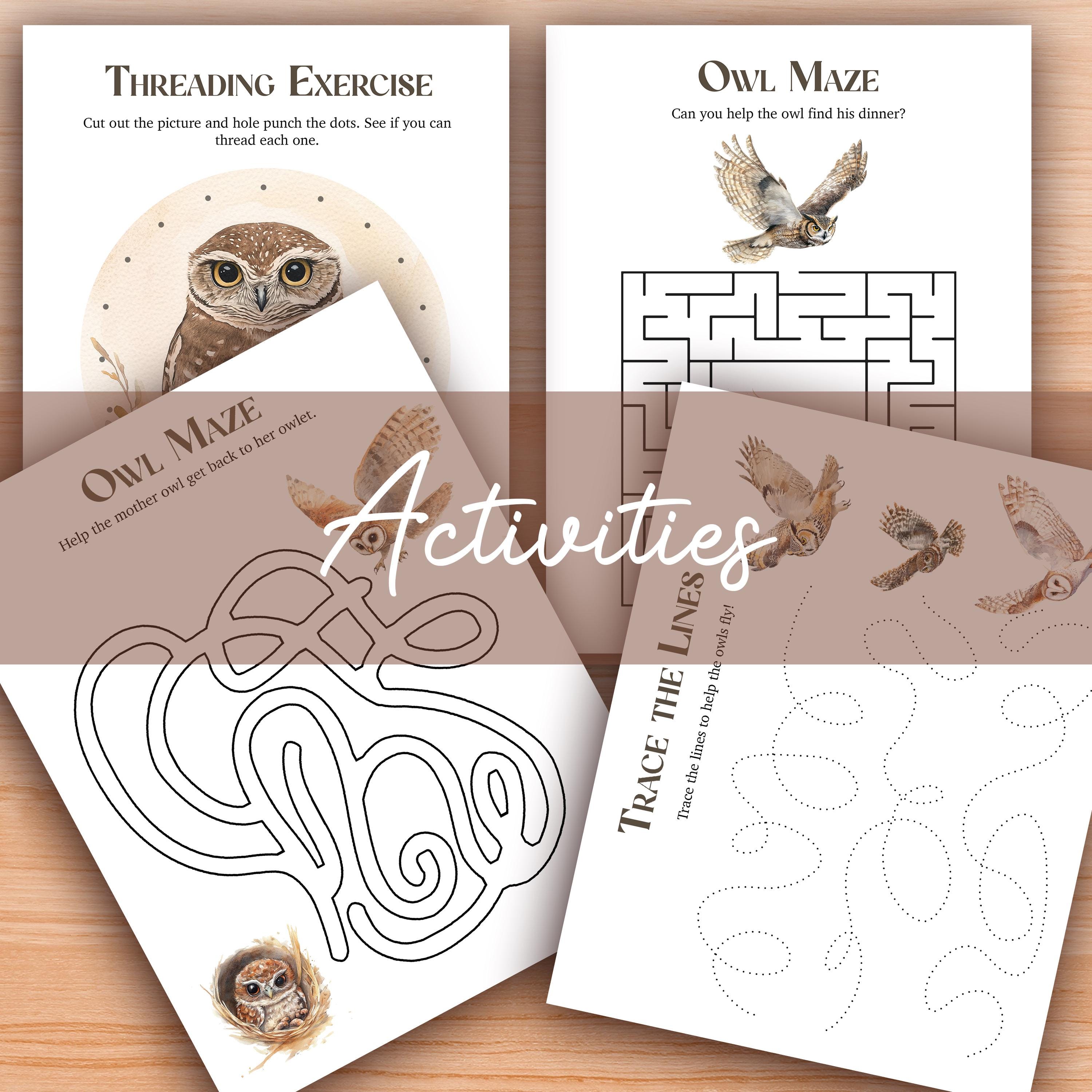 OWL Unit Study, Life Cycle of a Bird, Nature, Printable, Montessori ...