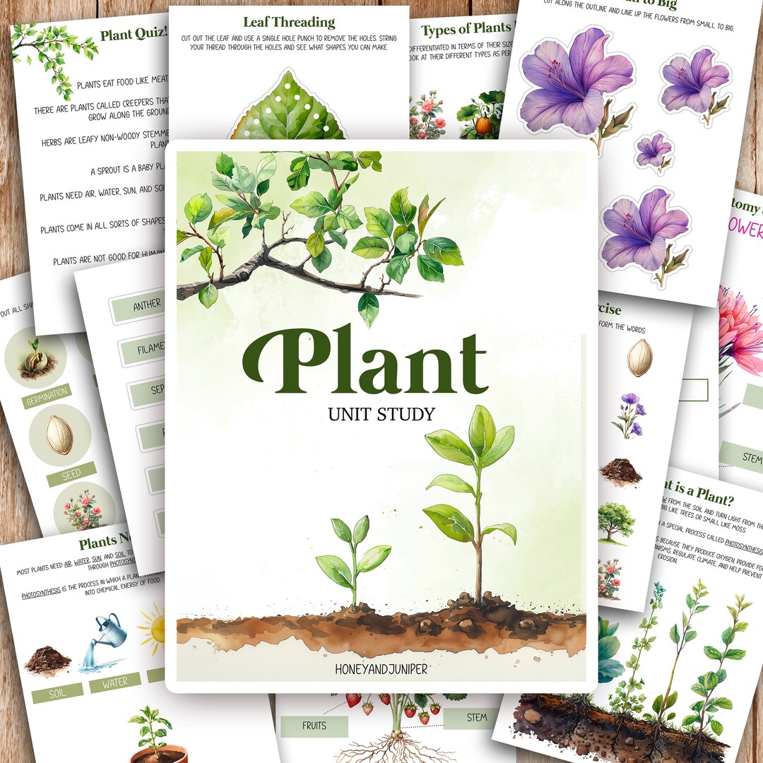 PLANT Unit Study, Life Cycle of a Plant, Plant Anatomy, Printable ...