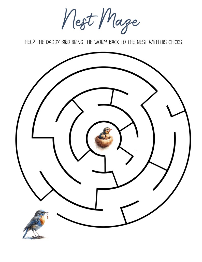 BIRD NESTS Unit Study, Life Cycle of a Bird, Nature, Printable ...