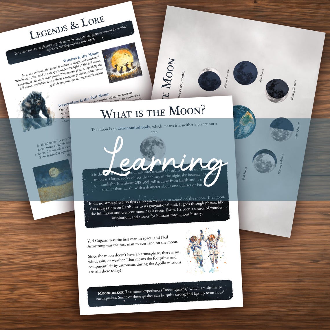 MOON Unit Study, Moon Phases, Lunar Cycle, Nature, Printable ...