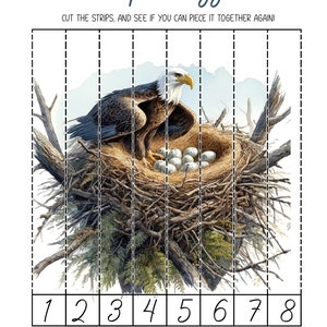 BIRD NESTS Unit Study, Life Cycle of a Bird, Nature, Printable ...