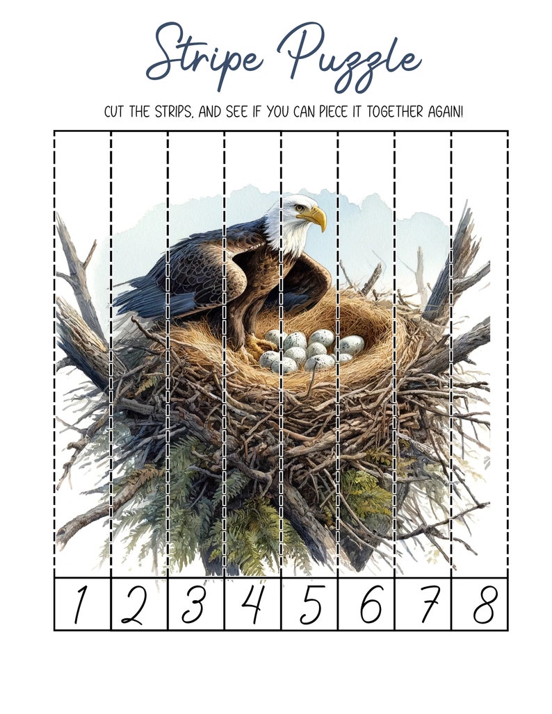 BIRD NESTS Unit Study, Life Cycle of a Bird, Nature, Printable ...