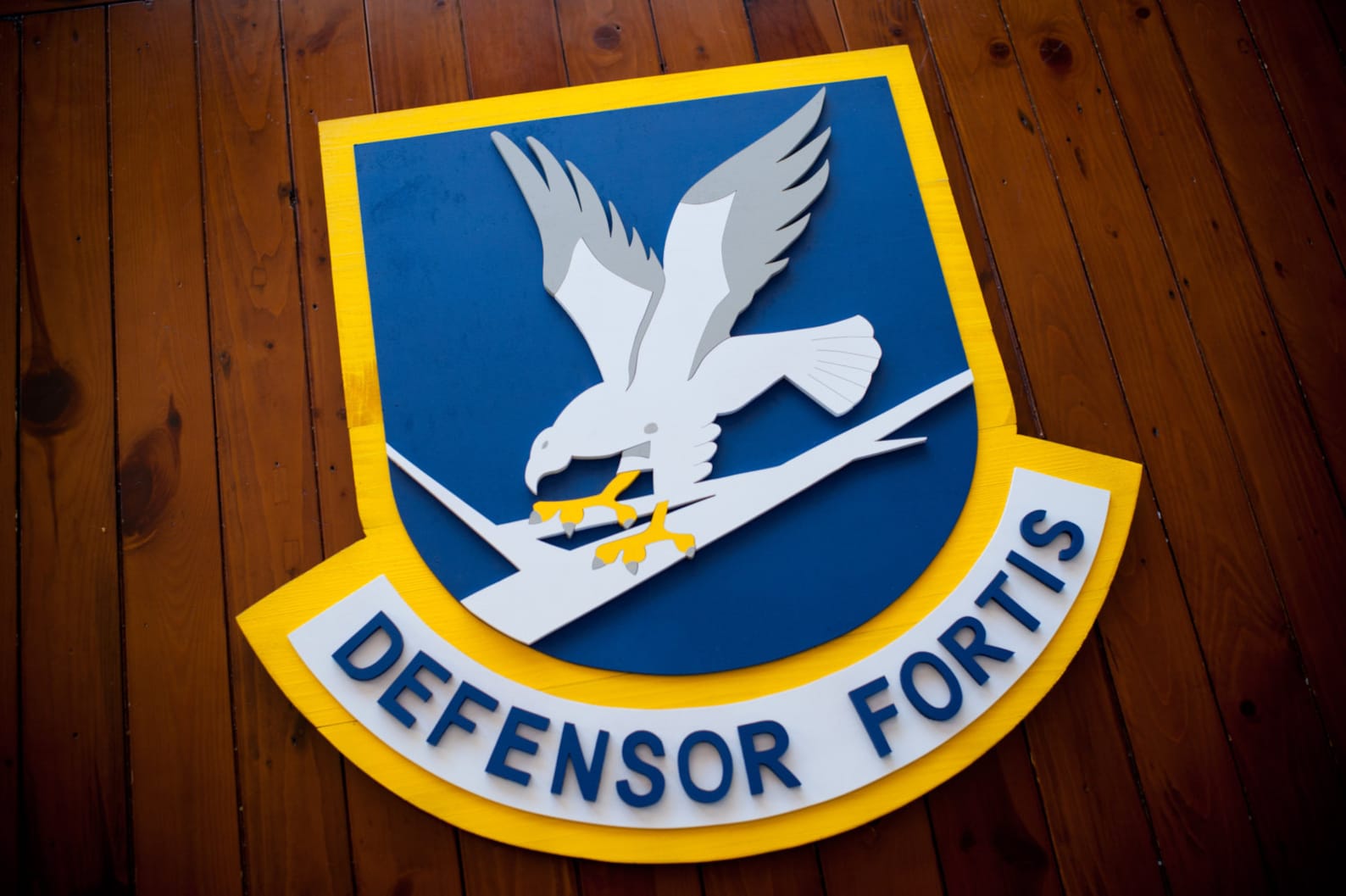 USAF Security Forces Wood Flag, Air Force Security Forces, Defensor ...