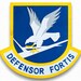 USAF Security Forces Wood Flag, Air Force Security Forces, Defensor ...