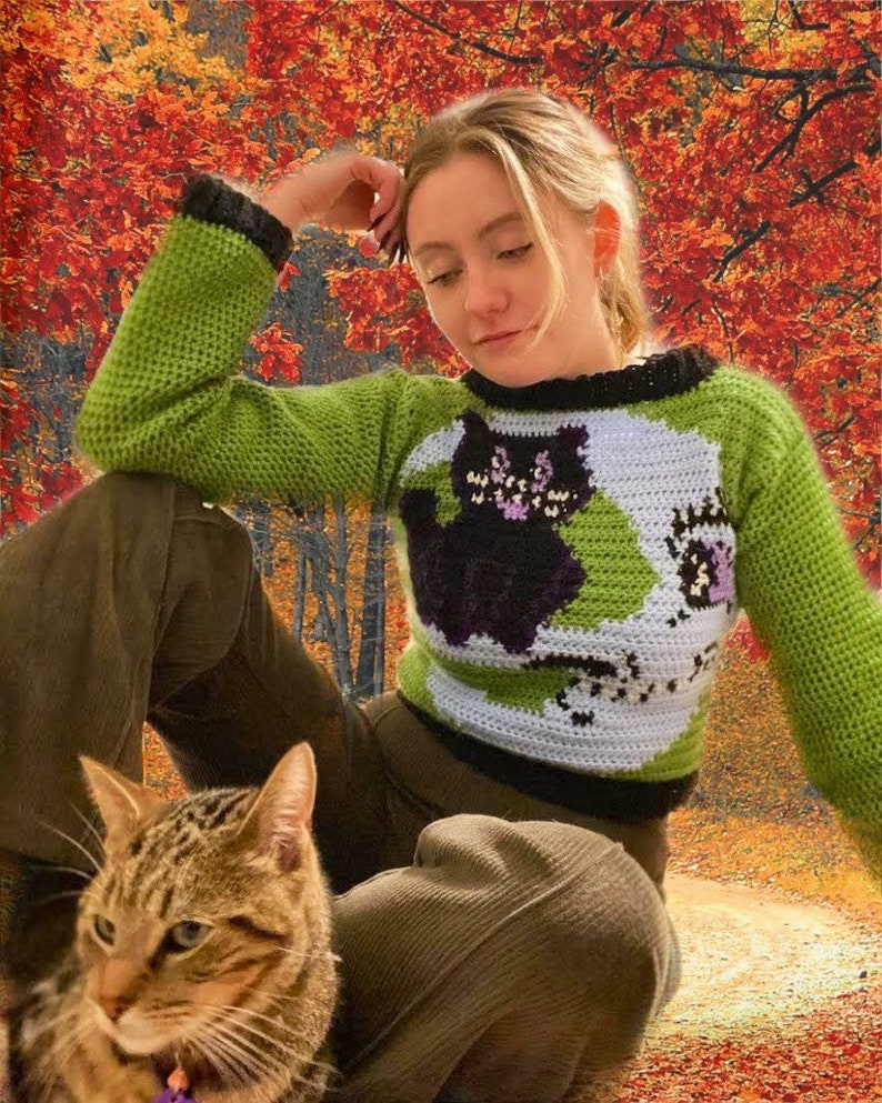 CROCHET PATTERN Sweater Spooky Salem PDF Download Cat - Etsy