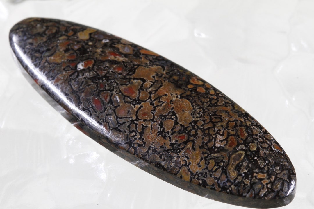 Dinosaur Bone Cabochons 60x20x6.4mm Dinosaur Bone Cabs Hand Cut Cabs ...