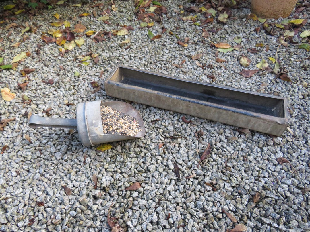 Vintage Galvanised Eltex Poultry Grain or Feed Dispenser Also Great for ...