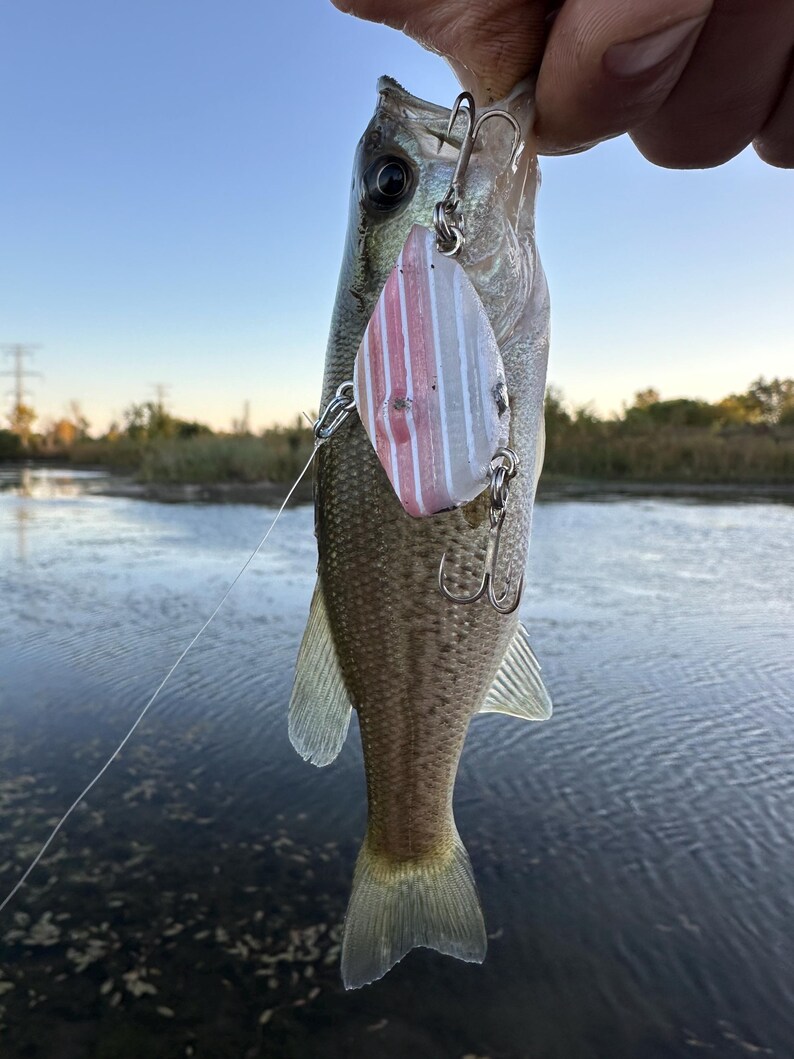 3D Print Fishing Lures Files (2 Sizes) Lipless Crankbait STL 3MF for 3D ...