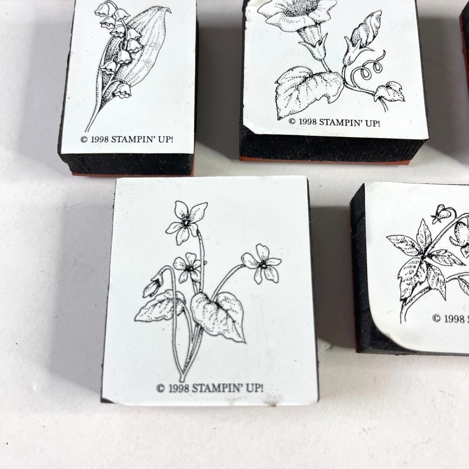 Stampin up Flowers Plants Garden Vintage 8 Foam Rubber Stamp Set 1998 ...