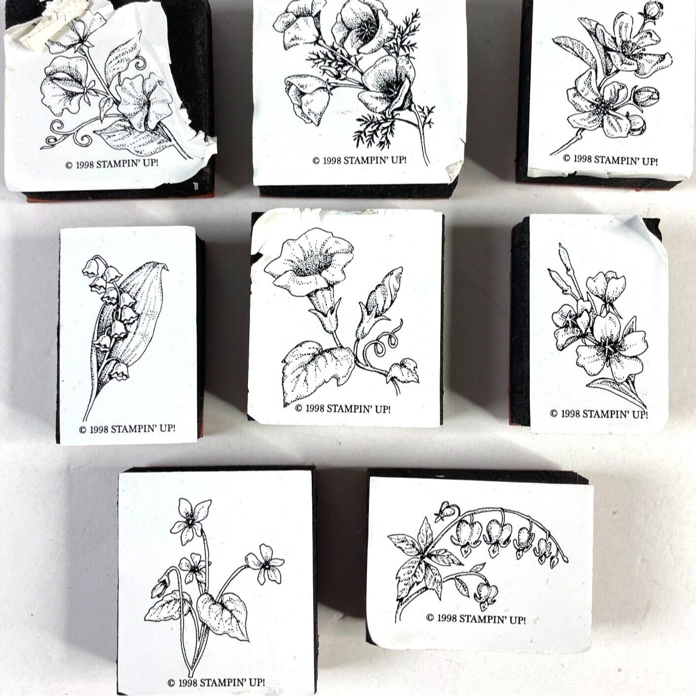 Stampin up Flowers Plants Garden Vintage 8 Foam Rubber Stamp Set 1998 ...