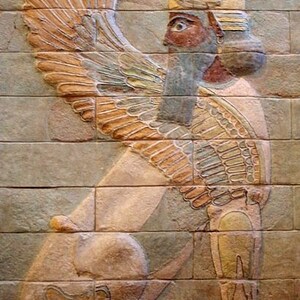 Assyrian Sumerian Winged Sphinx Susa, Lion Shedu Palace Darius I ...