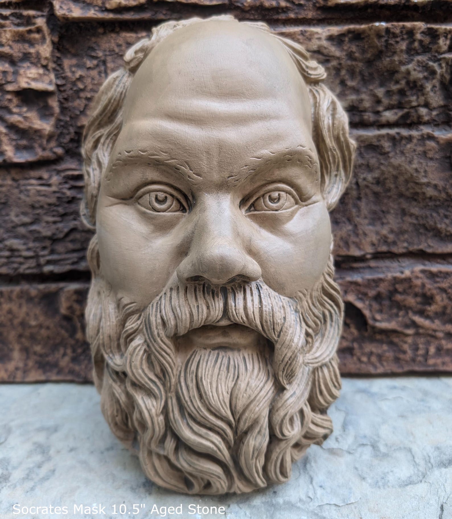 Roman Greek Socrates Bust Sculpture 10.5" Www.neo-mfg.com Home Decor ...