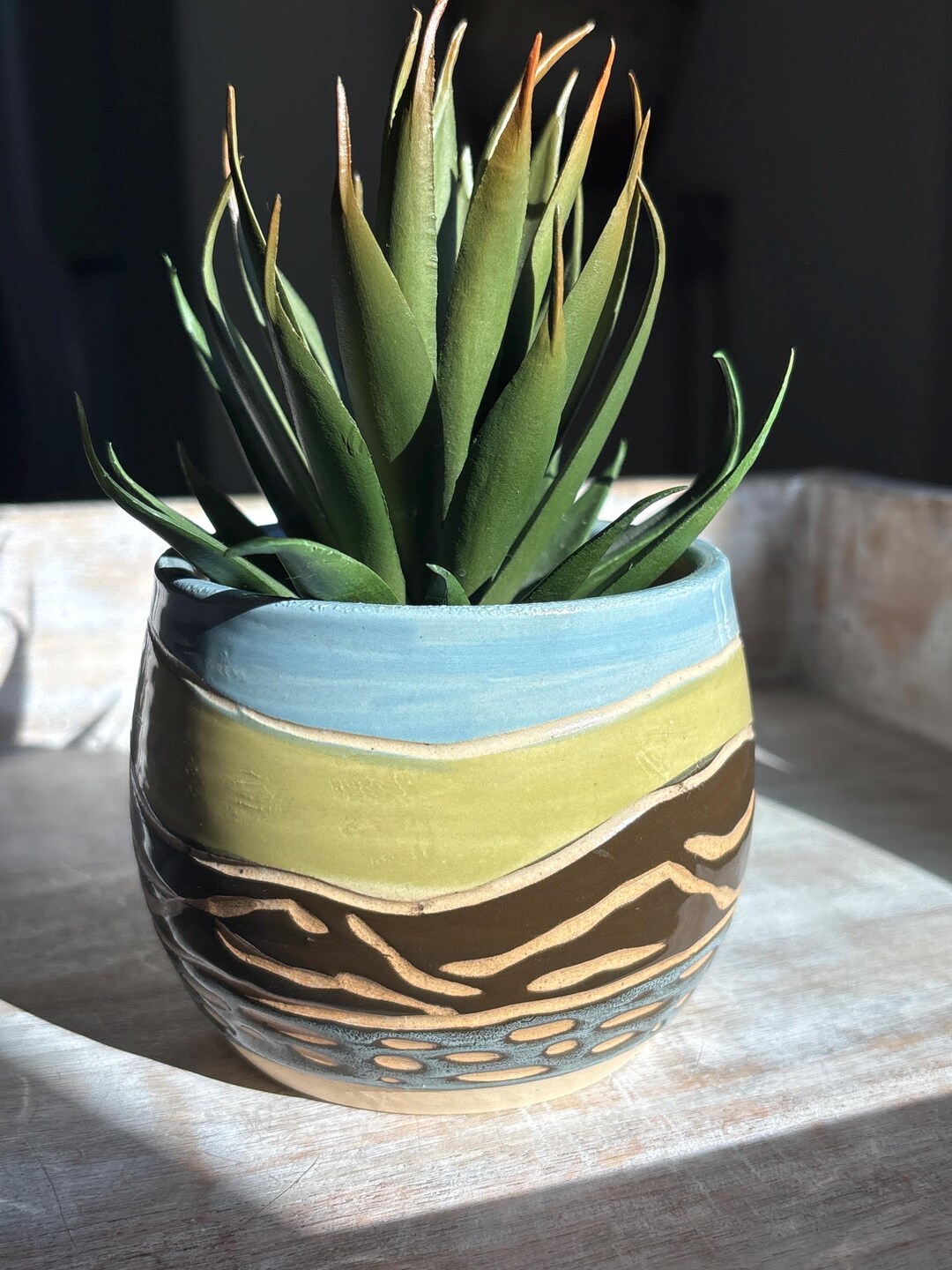 3” Cactus Planter Indoor Planter, Outdoor Planter, Succulent Planter ...