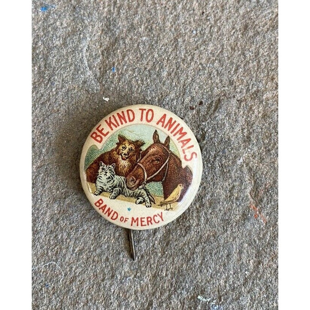 Antique Be Kind to Animals Band of Mercy Boston Pledge Pin Back Badge ...