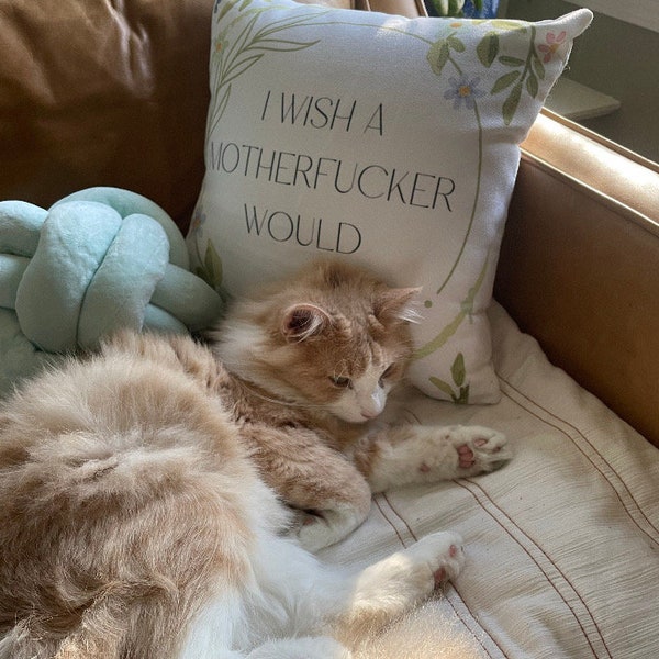 Funny Throw Pillow - Etsy