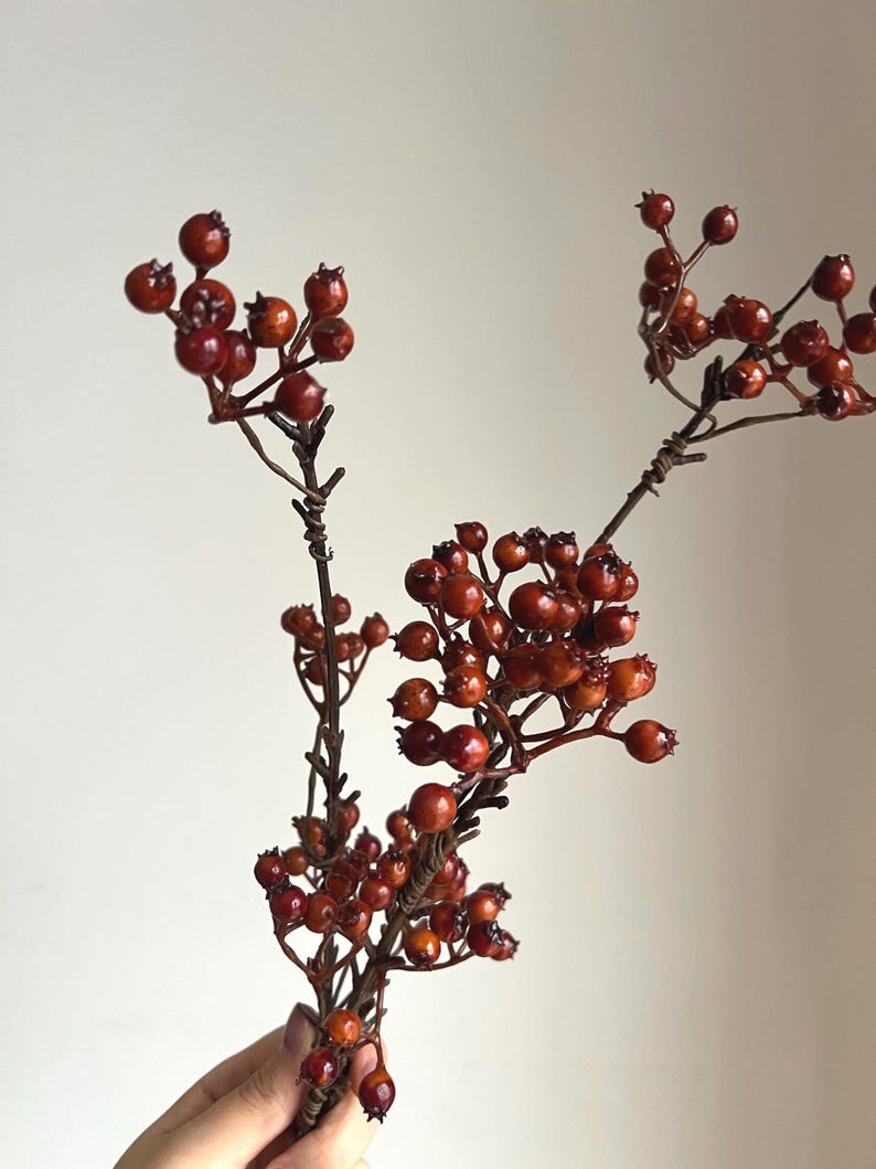 Long Stems Berries, Red Berry Stems, Fake Berry, Faux Flower for House ...