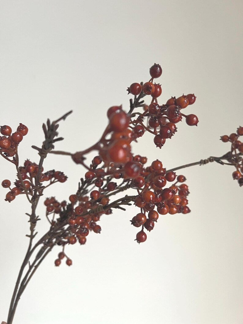Long Stems Berries, Red Berry Stems, Fake Berry, Faux Flower for House ...