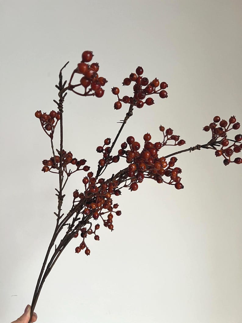 Long Stems Berries, Red Berry Stems, Fake Berry, Faux Flower for House ...