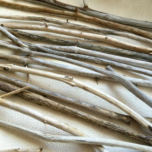 30 Driftwood Twigs Bulk Lot Thin Straight Maine Driftwood - Etsy