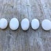 Maine Quartz Beach Stones 5 Pieces Smooth & Rounded White Quartz Stones ...