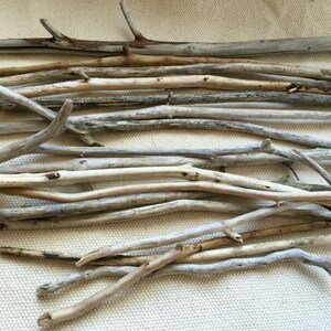 30 Driftwood Twigs Bulk Lot Thin Straight Maine Driftwood - Etsy