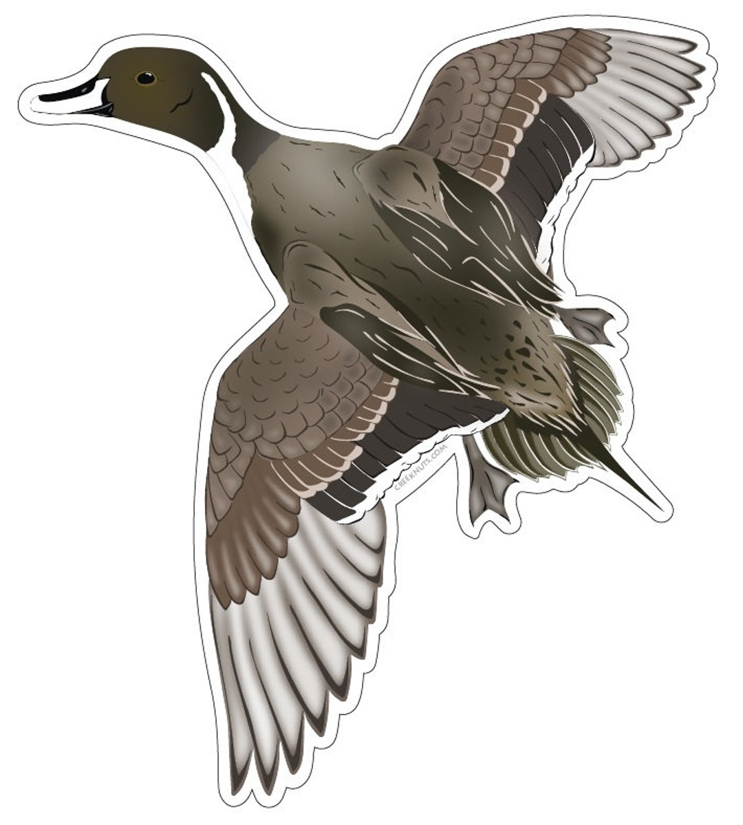 Flying Northern Pintail Duck Sticker Decal - Etsy